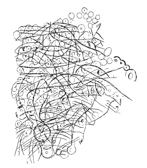 Pataphysics: A Religion in the Making - Asger Jorn | libcom.org