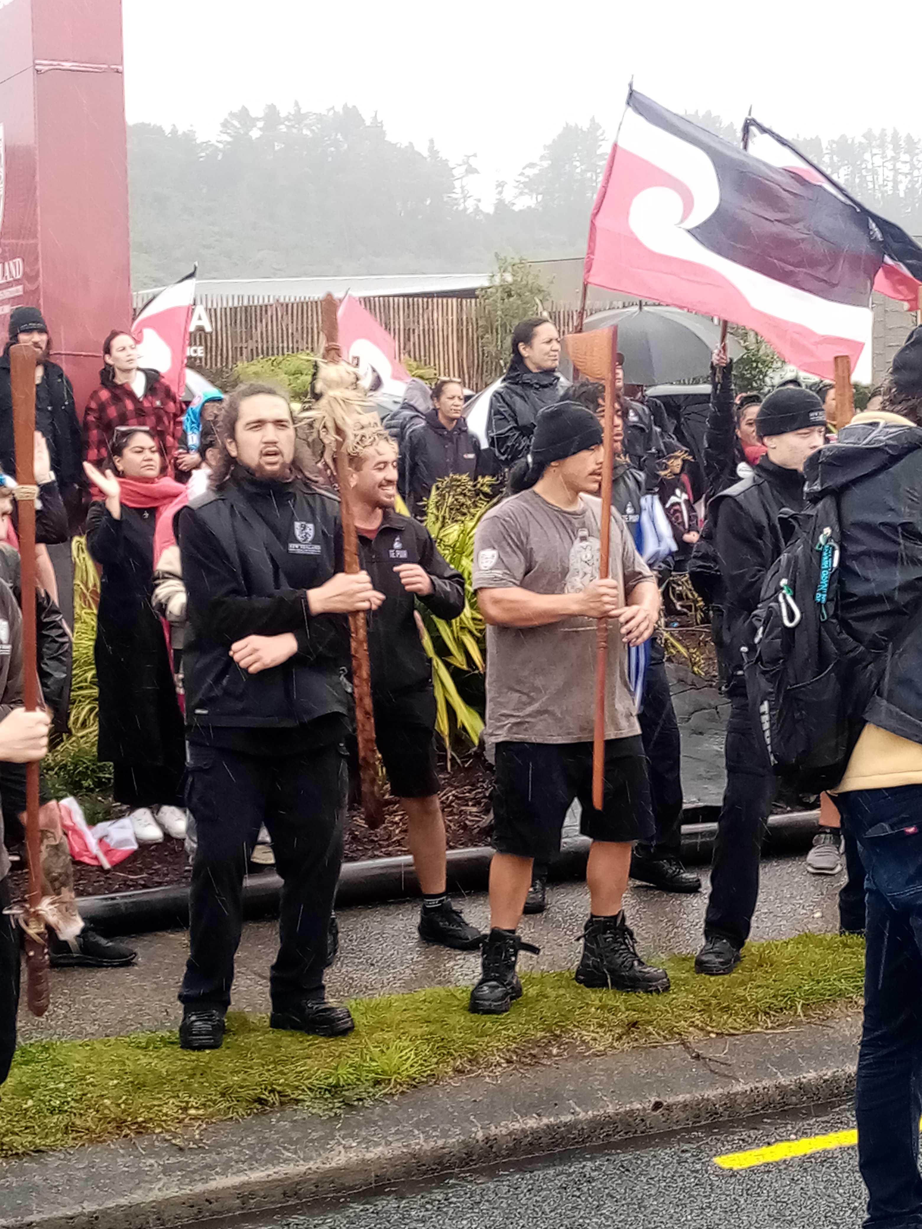 Aotearoa/New Zealand: Treaty Principles Hikoi | libcom.org