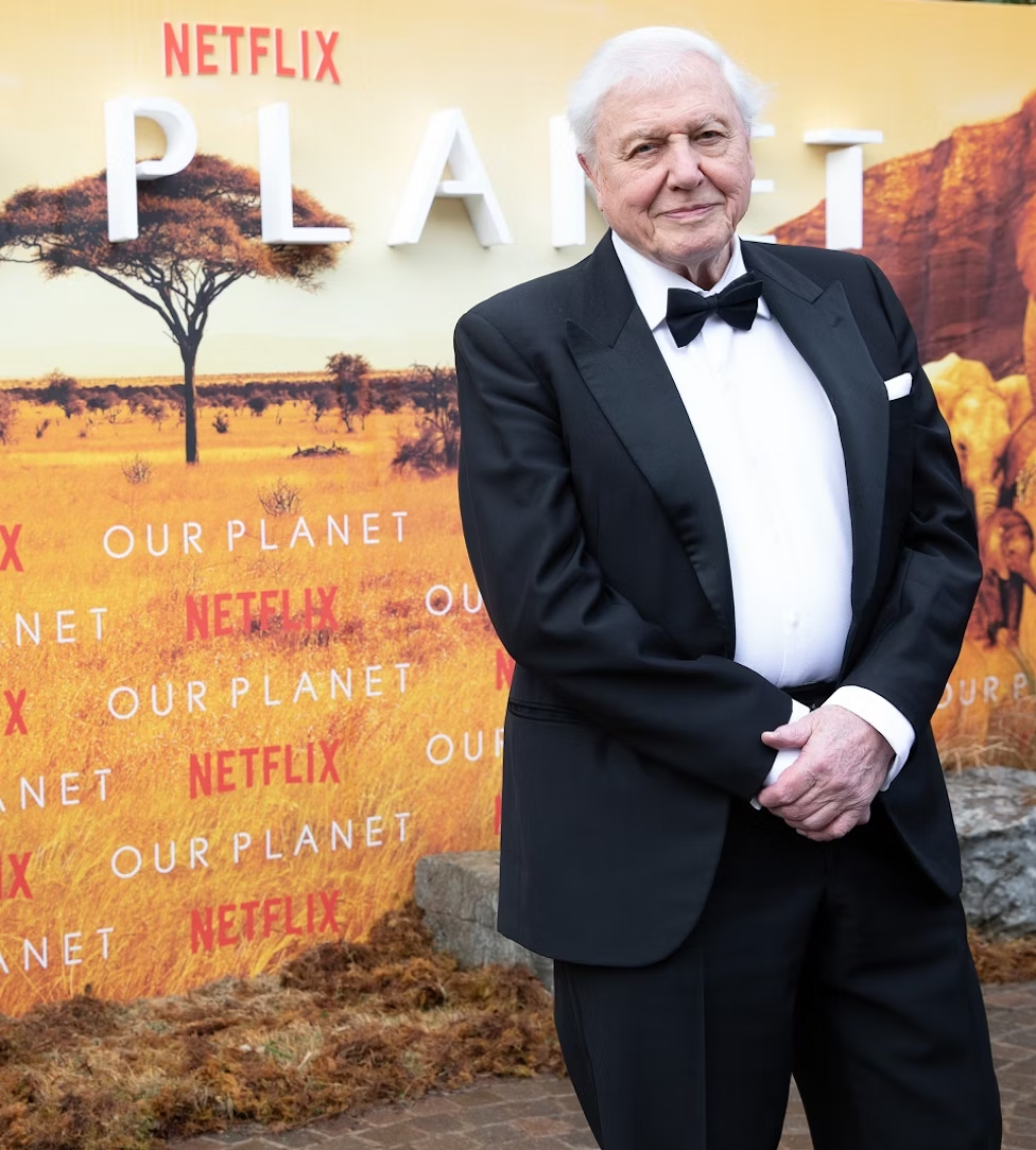 ROTTENBUGGER: aka David Attenborough - Stuart Wise | libcom.org