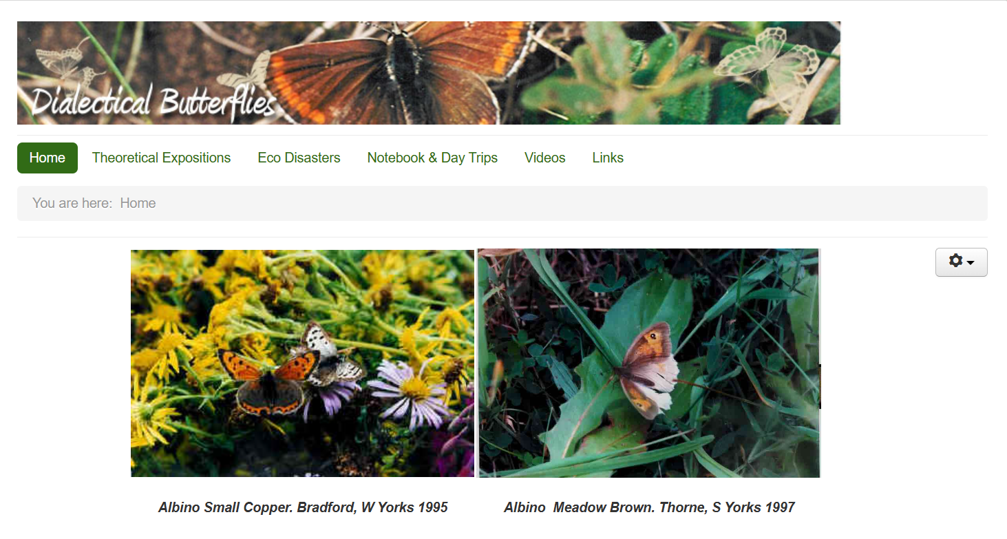 Dialectical Butterflies archive on Libcom | libcom.org