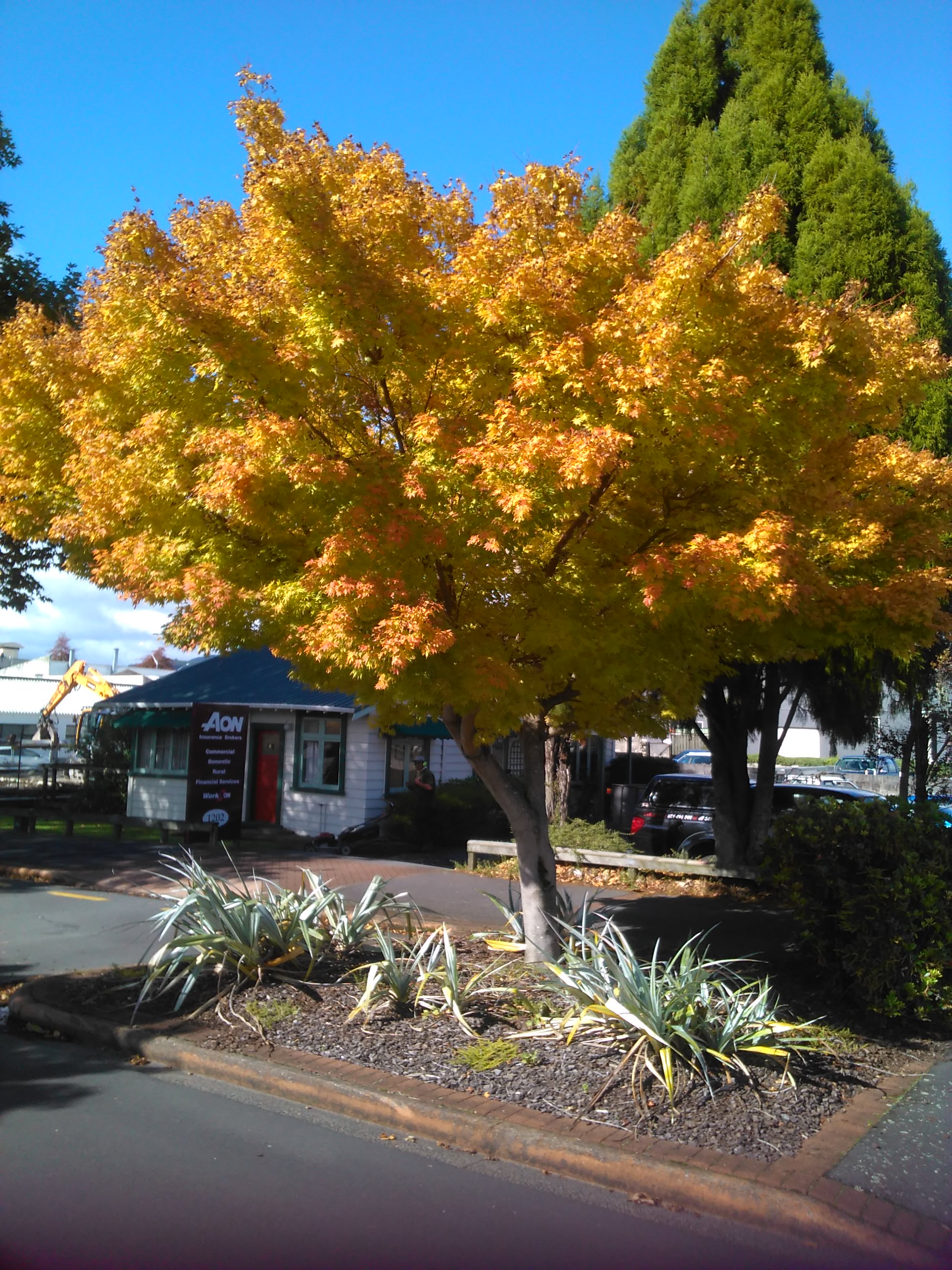 Greenwashed Capitalism: The Limit of the Green Party's 2025 Budget | libcom.org