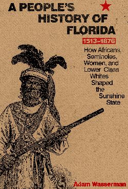 The Patriot War in Florida: Manifest Destiny, Slavery, Covert ...