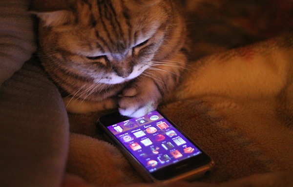 Libcom.org traffic analysis 2015 | libcom.org