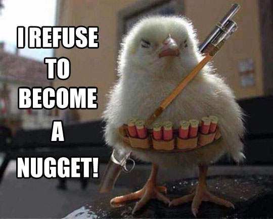 System Series - Part Four - A history of revolutions | libcom.org