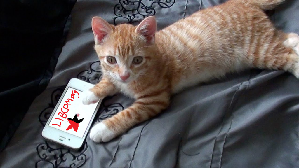 Libcom traffic analysis 2017 | libcom.org