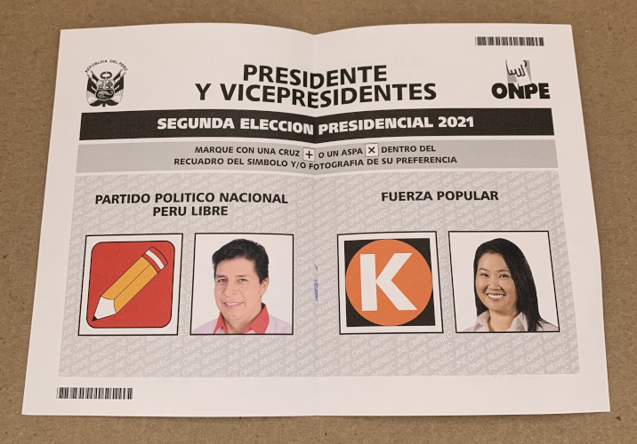 Elections in the Time of Covid: Peru and the "Marxist Road to Socialism ...