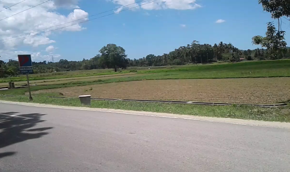 A Report on the Communal farm of Catigbian | libcom.org