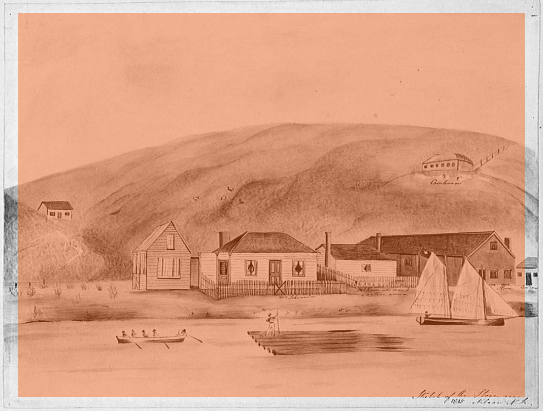 The History of a Riot: Class, Popular Protest and Violence in Early ...