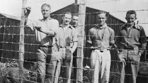 Movie Review: SEDITION (2005) | libcom.org