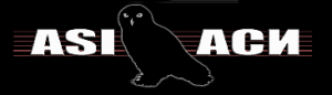 What is ASI? | libcom.org