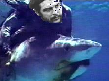 Glances of soft, grey flesh… - Che Guevara | libcom.org