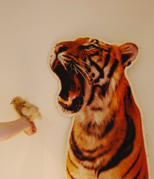 Death of a paper tiger: reflections on Class War | libcom.org