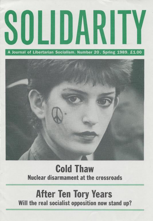 Solidarity Journal #20 Spring 1989 | libcom.org