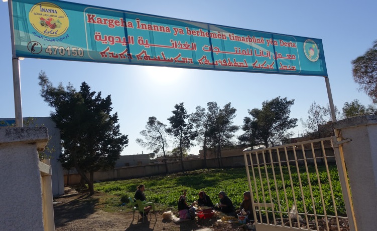 The Experience of Co-operative Societies in Rojava | libcom.org The Experience of Co-operative Societies in Rojava | libcom.org