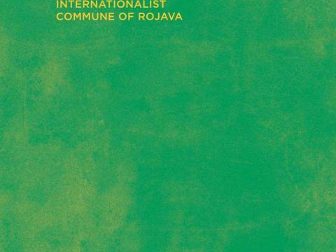 Capitalist Modernity: The crisis in the relationship between humanity and nature | libcom.org