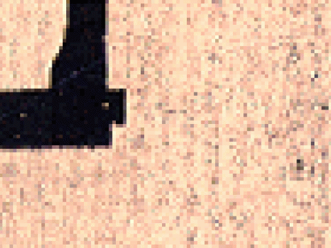 The debt crisis, Africa and the new enclosures - Silvia Federici | libcom.org