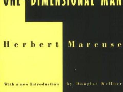 Critique of Marcuse and 'One dimensional man in class society' - Paul ...