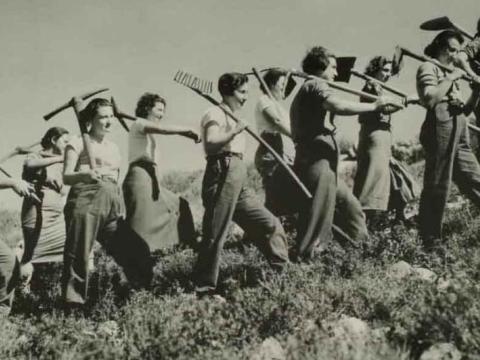 The Jewish collectivity and national reproduction in Israel - Nira ...