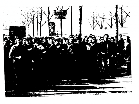 Radio Alice | libcom.org