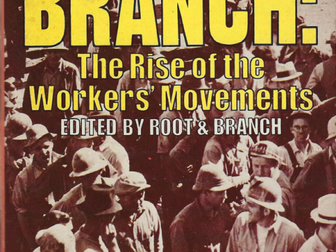 Old Left, New Left, What's Left? - Paul Mattick, Jr. | libcom.org