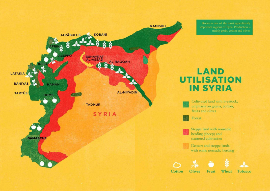 Ecological Challenges in Rojava: Perspectives for an ecological society